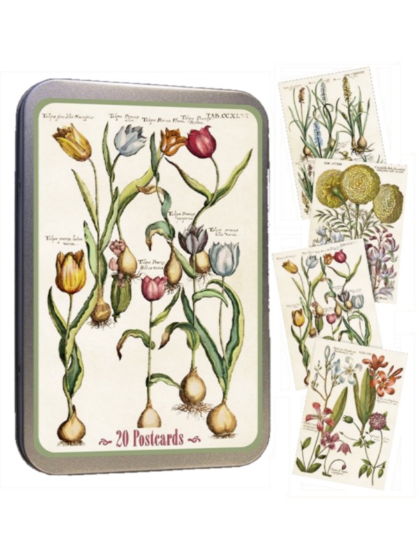 A tin of Spring Flowers postcards from Abrahams Store