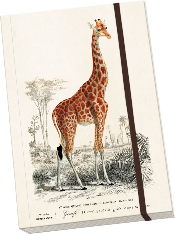 Giraffe Notebook - Abrahams Store