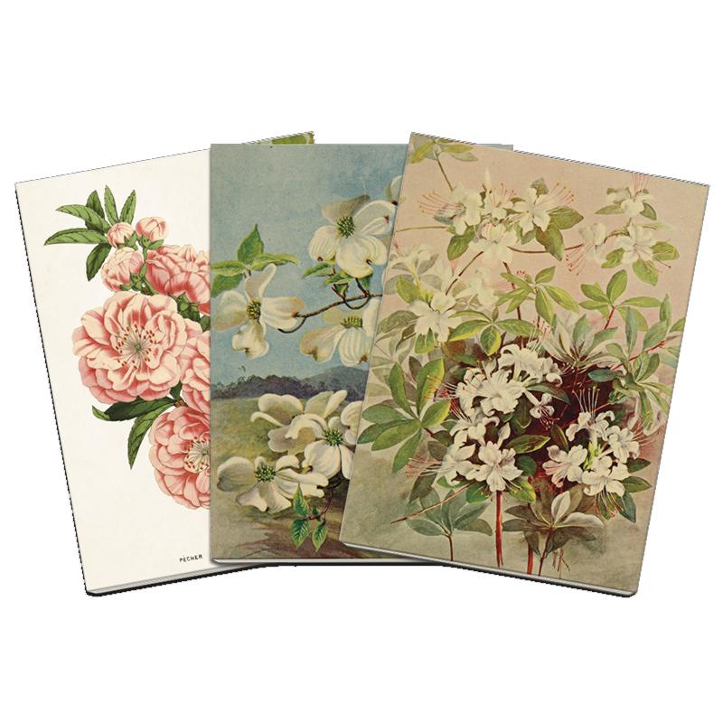Spring Motif Notebooks, plain page A6 - Abrahams Store