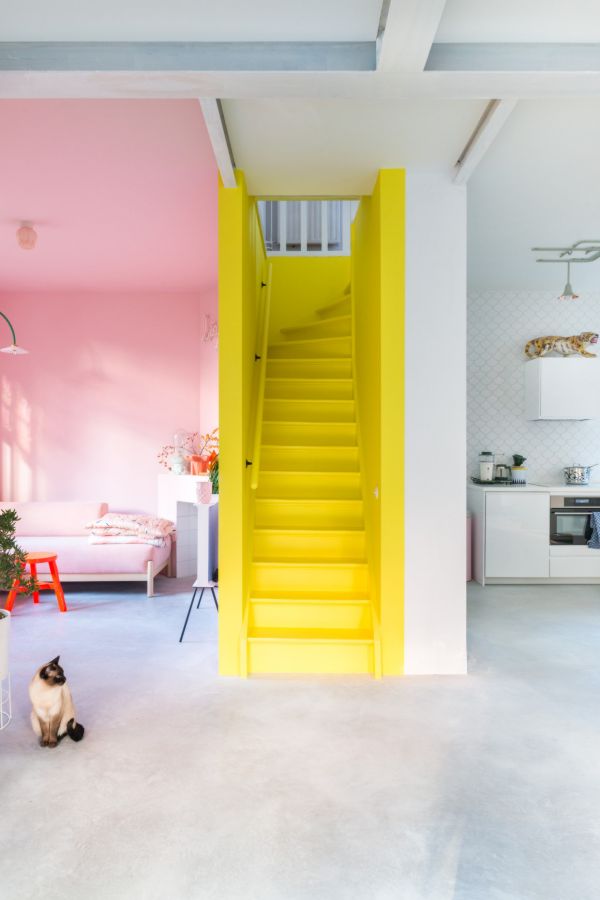 The Complete Book of Colourful Interiors from Abrahams Store
