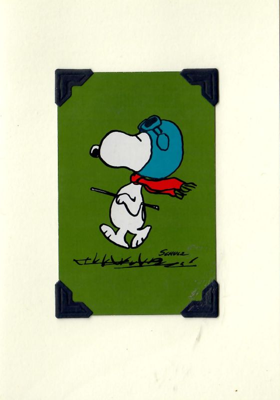 Snoopy Pilot featuring Snoopy - Abrahams Store