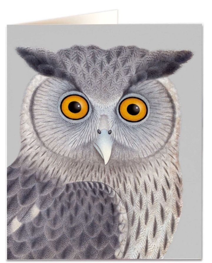 Archivist Cards - Abrahams Store