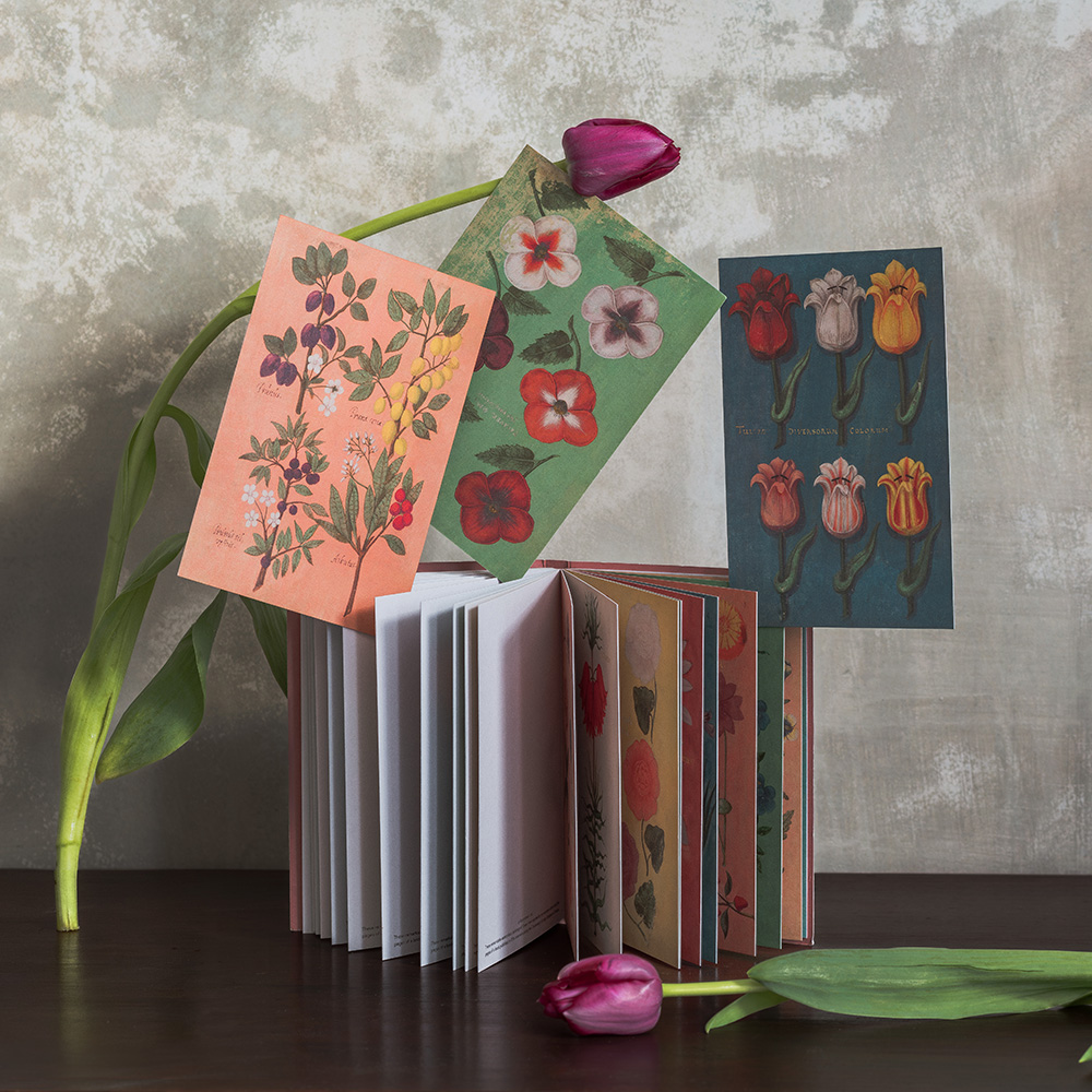 Postcards featuring an assortment of vintage colour theories