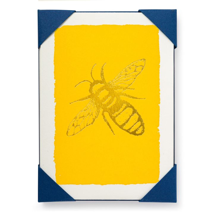 Archivist Note Cards - Abrahams Store